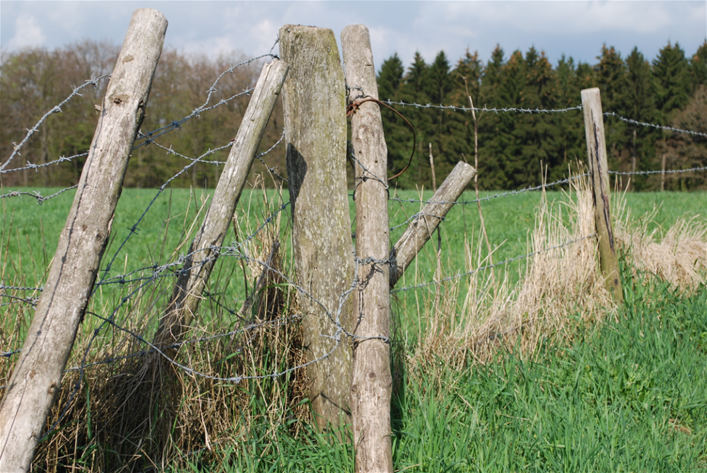 Das Ende des Stacheldrahtes - Zentrum für Ostbelgische Geschichte